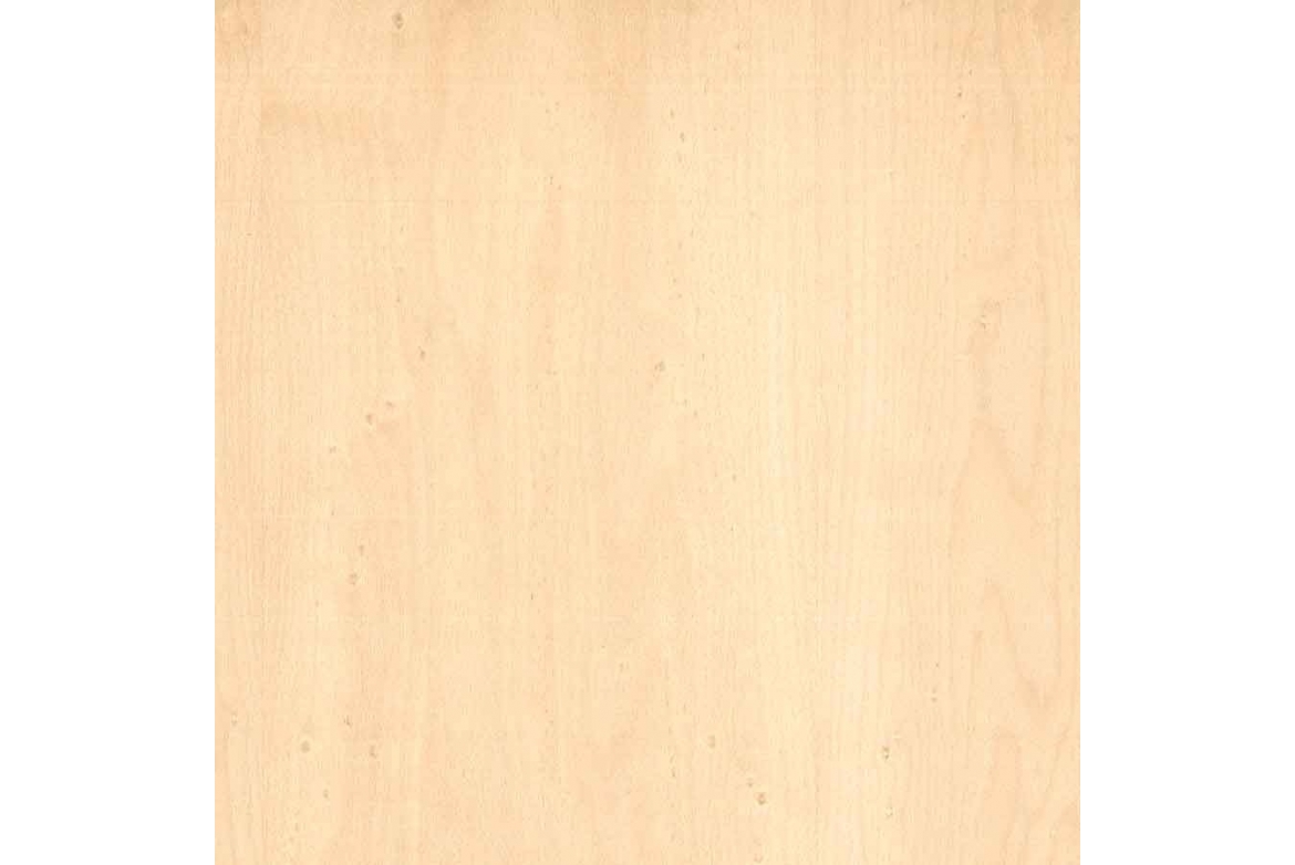 Bird's eye Maple | Lauriermax